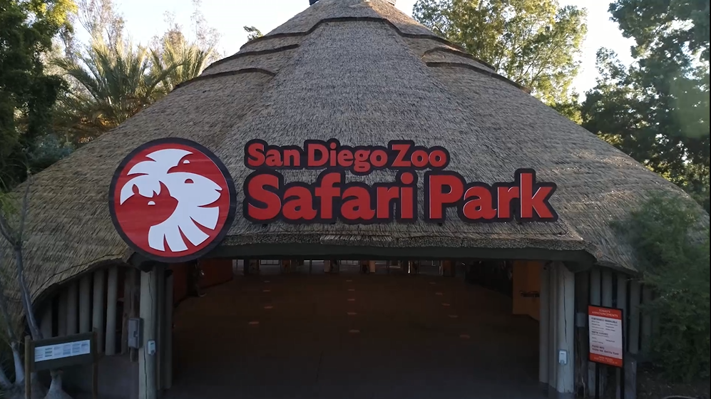 Entrada Gratis Para Mayores De 65 Años Al Safari Park De San Diego - El ...